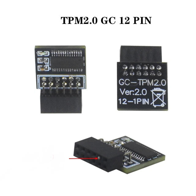 NEW 12 PIN TPM 2.0 Module Securely Encryption Keys PC System For ...