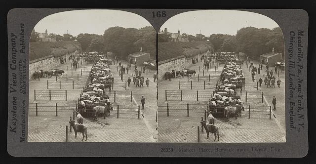MARKET PLACE, BERWICK upon Tweed, Eng England Old Photo EUR 6,52 ...
