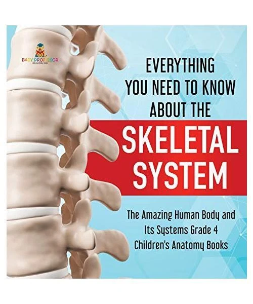 EVERYTHING YOU NEED to Know About the Skeletal System | The Amazing ...