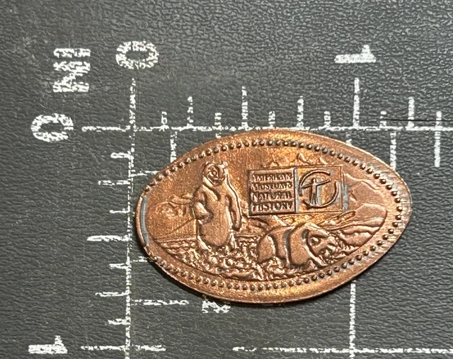 AMERICAN MUSEUM OF Natural History New York City T-Rex Elongated ...