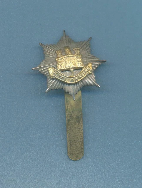 ROYAL ANGLIAN REGIMENT.BI-METAL Army Cap Badge £11.12 - PicClick UK