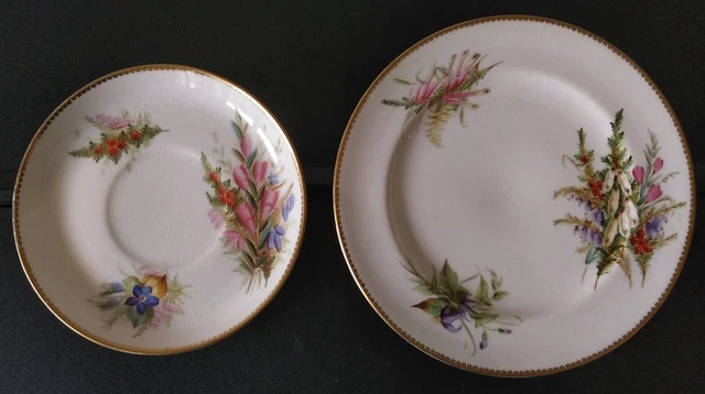 ANTIQUE ROYAL WORCESTER Porcelain Hand Painted Floral Plate & Saucer ...