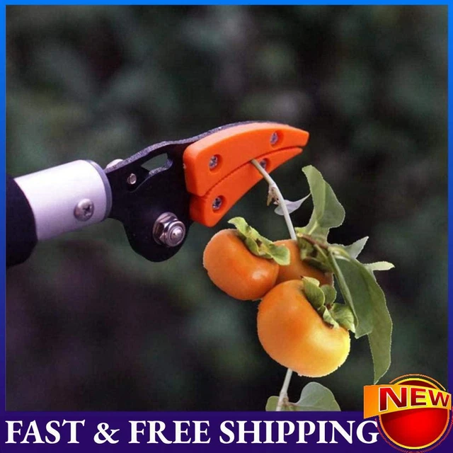 PICKER FRUTTA ALBERO da giardino pinza per potatura a taglio lungo ramo ...