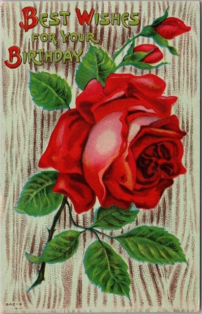VINTAGE HAPPY BIRTHDAY Greetings Postcard BEST WISHES Red Rose 1911 