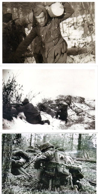 21 X SUPER Repro Fotos Deutsche Gebirgs Division Nord /1 WW2 EUR 15,99 ...