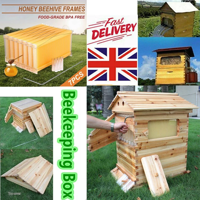 DOUBLE BEEHIVE SUPER Beekeeping Brood House Box w/ 7 Auto Honey Bee ...