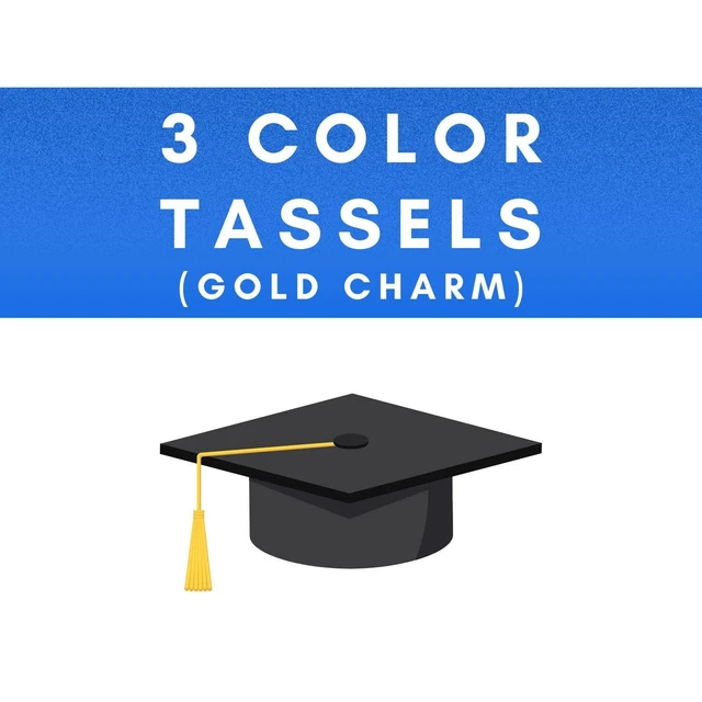 CLASS ACT GRADUATION Graduation Tassel - 2025 - Silver Charm - 3 Color ...