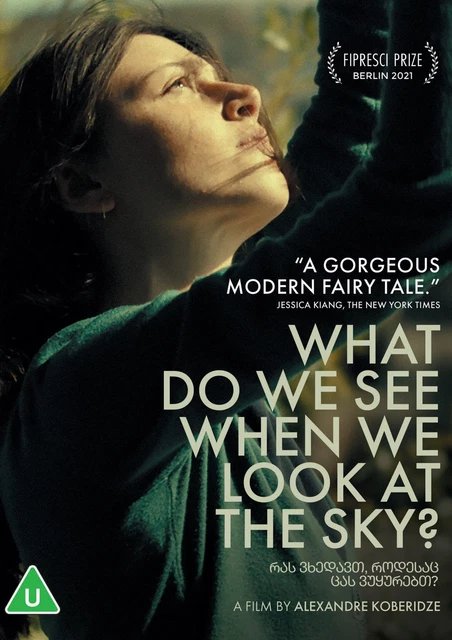 WHAT DO WE do see when we look at the sky? (DVD) Giorgi Bochorishvili £ ...