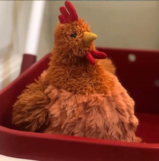 JELLYCAT CECILE HEN Plush: Super Soft Tan Kawaii Chicken Toy, Brand New ...