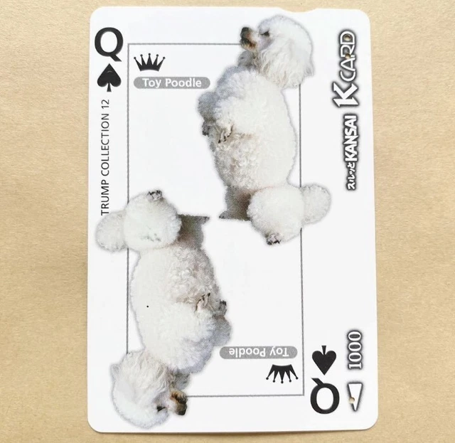 SURUTTO KANSAI KEIHAN Electric Railway Playing Card Collection Toy ...