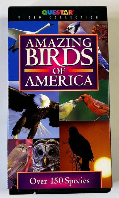 AMAZING BIRDS OF America Over 150 Species VHS Questar Video Collection ...