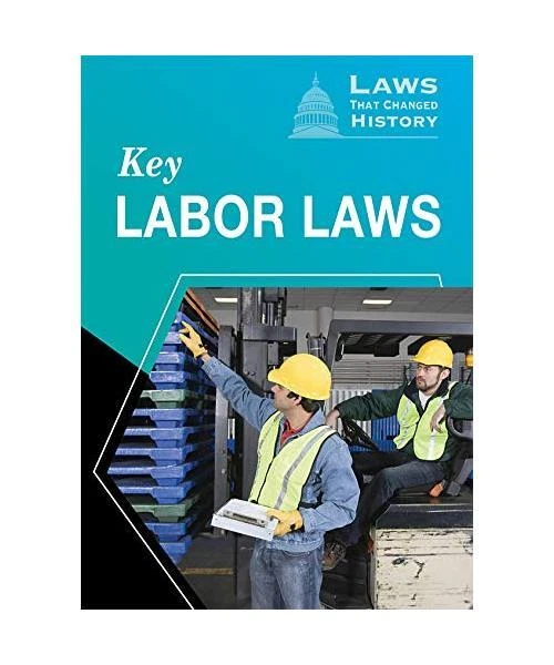 KEY LABOR LAWS (Laws That Changed History), Acks, Alex EUR 35,73 - PicClick FR