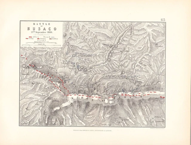 CARTE/PLAN DE BATAILLE ~Bataille De Busaco ~ 27 Septembre 1810 ...