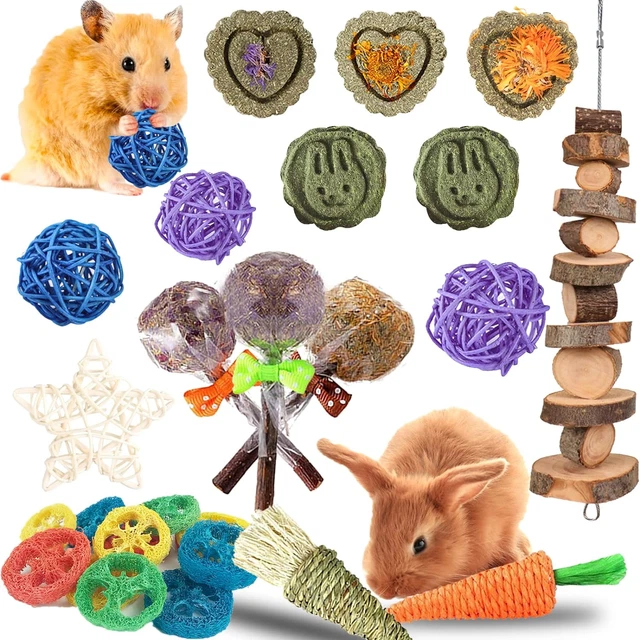 20 PCS RABBIT Chew Toys for Teeth, Natural Wood Sticks Timothy Grass ...