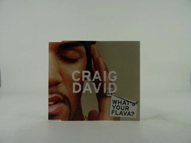 CRAIG DAVID WHAT'S YOUR FLAVA? (B21) 4 Track CD Single Picture Sleeve ...