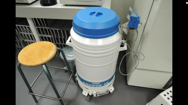 RÉSERVOIR CRYOCONSERVATION AZOTE AIR LIQUIDE arpege 55 + rack cryo ...