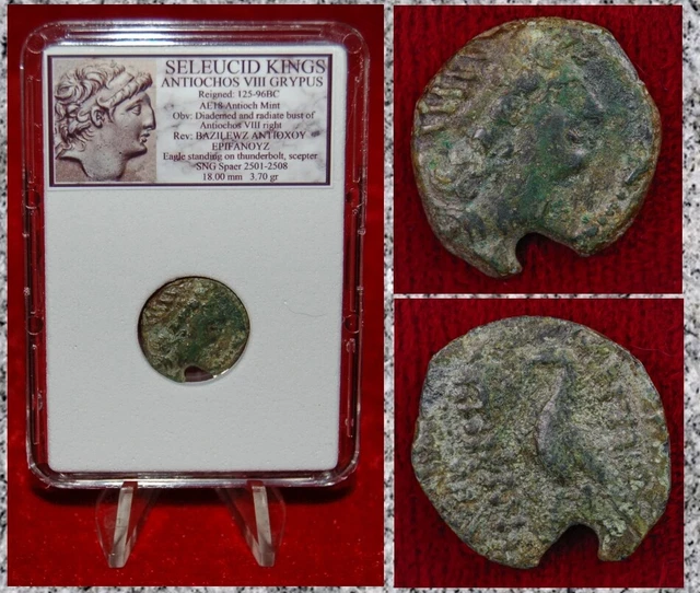 ANCIENT GREEK COIN Seleucid King ANTIOCHOS VIII GRYPUS Artemis and ...