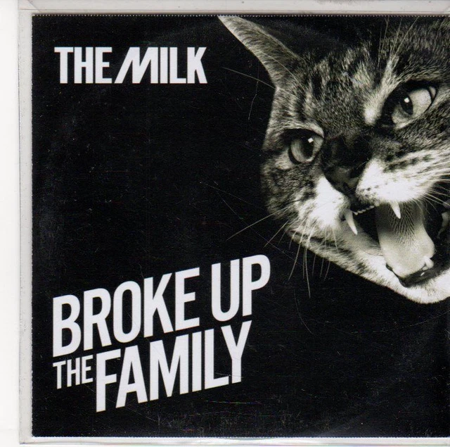 (EE47) THE MILK, Broke Up The Family - 2012 DJ CD EUR 4,24 - PicClick FR