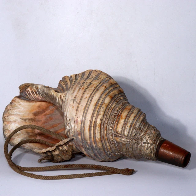 EASY-TO-PLAY CONCH SHELL trumpet Horagai Yamabushi Shugendo Trumpet ...