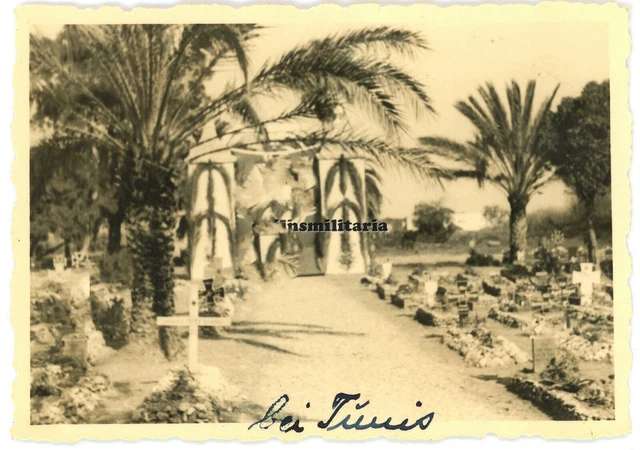 ORIG. FOTO GRAB DAK Soldaten in Friedhof bei TUNIS Afrika 1943 EUR 7,99 ...