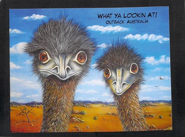B0130 AUSTRALIA OUTBACK Humour Emu What Ya Lookin at! postcard EUR 6,58 ...