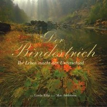DER BINDESTRICH DE Linda Ellis und Mac Anderson | Livre | état comme ...