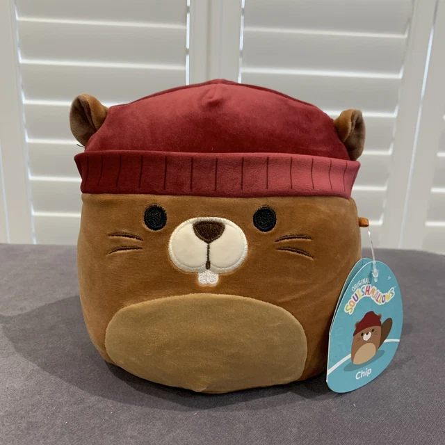 SQUISHMALLOW 7.5” CHIP The Beaver Autumn Harvest Squad AUS Import Kelly ...