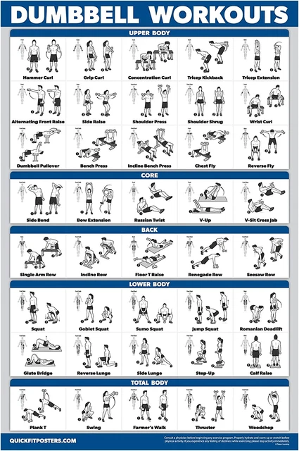 DUMBBELL WORKOUT EXERCISE Poster - Laminated - Free Weight Body ...