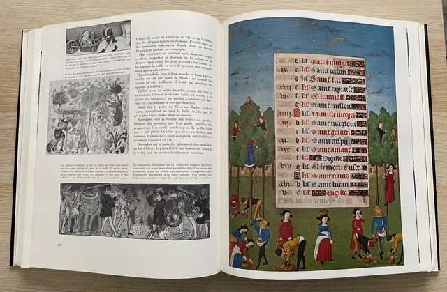 &LE MOYEN AGE - HISTOIRE ILLUSTREE DE LA VIE QUOTIDIENNE" DELORT Robert ...