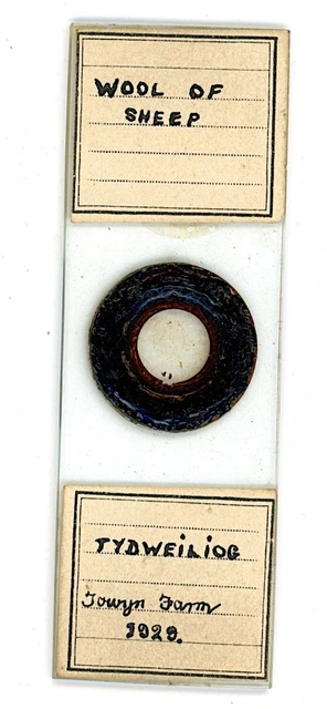 ANTIQUE MICROSCOPE SLIDE Wool of Sheep Towyn Farm 1929 Tydweiliog Wales ...