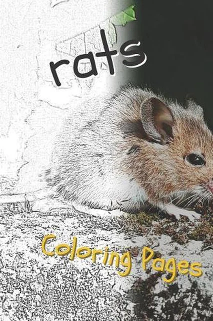 RAT COLORING PAGES: Beautiful Rats Drawings for Kids and for Adults ...