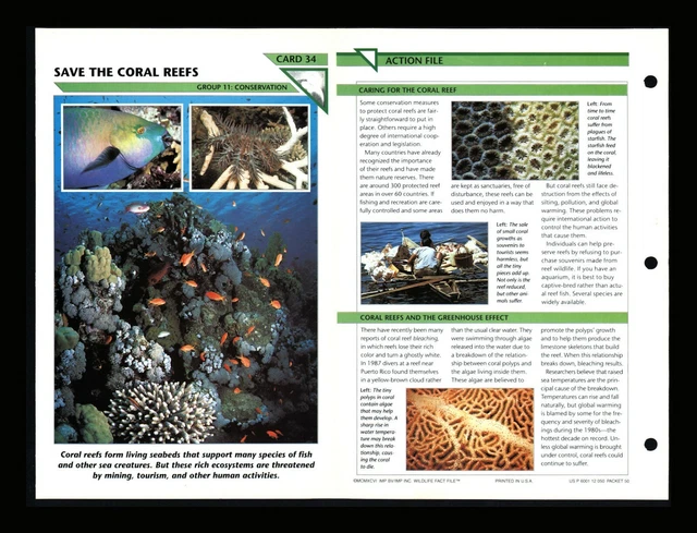 SAVE THE CORAL Reefs Wildlife Fact File Card Conservation Home School ...