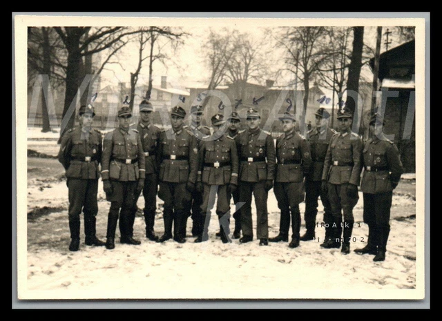 FOTO, WW2, POLIZEI u.Luftschutzkräfte, Gruppenportrait in Thorn Nov ...
