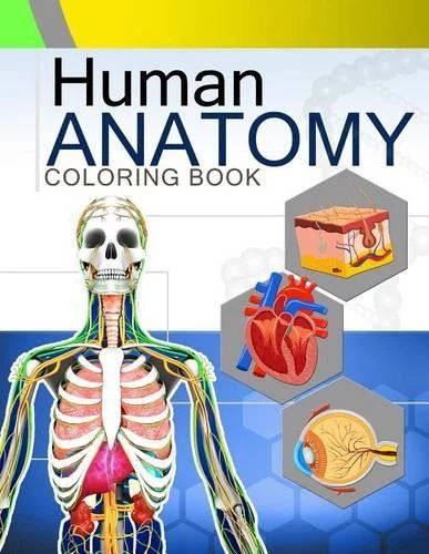 DR RODNEY M Strickland Dr.Rodney M. Stricklan Human Anatomy Coloring ...
