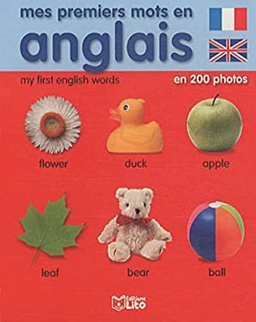 MES PREMIERS MOTS [En Anglais Français Edition Lito EUR 5,29 - PicClick IT