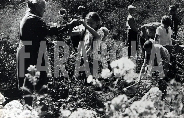 FOTO VINTAGE VACANZE degli scolari, campeggio dei pionieri, stampa ...