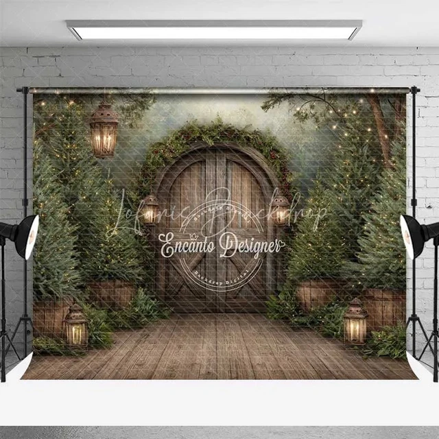 LOFARIS RUSTIC WOODEN Barn Door Christmas Backdrop, Winter Farmhouse ...