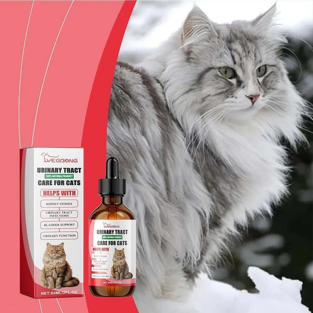 URINARY TRACT FOR Cats, Natural Cat Urinary Tract Drops Treatment 9CF2 ...