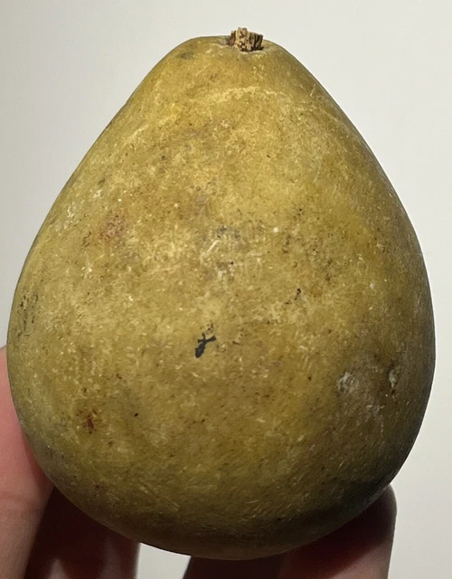 Antiques - PicClick UK