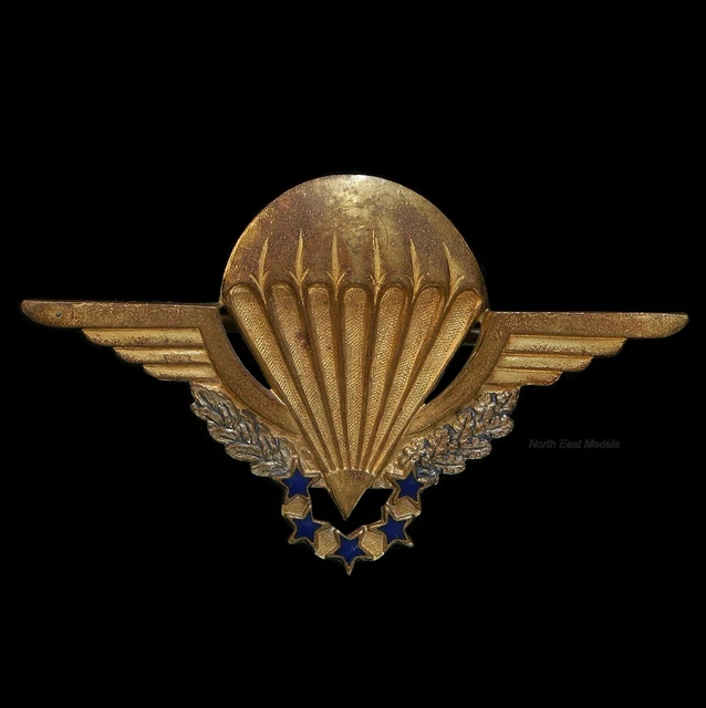FRENCH AIRBORNE PARACHUTE Wings Freefall Parachutist Badge Brevet TAP £ ...