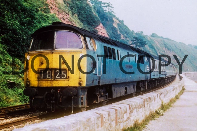 UK DIESEL TRAIN Railway Photograph Of Class 52 Western D1044. Rm52-122 ...