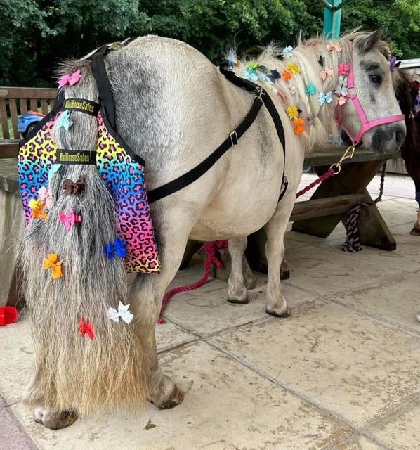 THERAPY MANURE CATCHER. poo bag. Thunderpants. Miniature horse ...