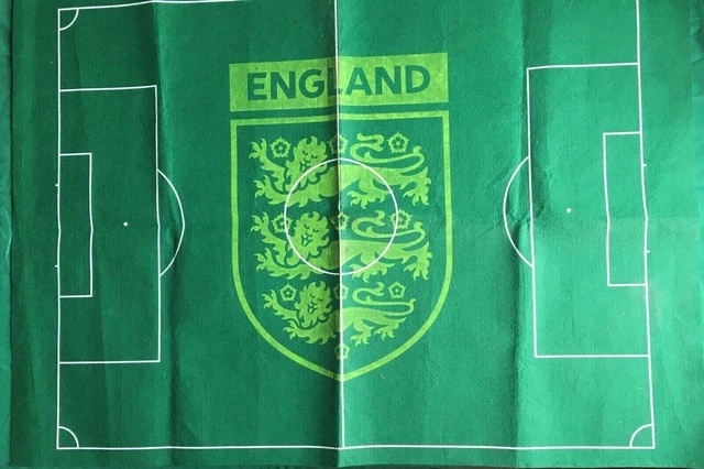 SUBBUTEO - PITCH with LIONESSES LOGO heavy duty Baize £12.50 - PicClick UK