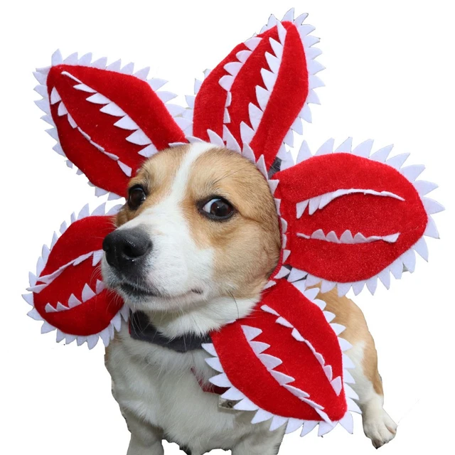 FUNNY CAT HAT Demogorgon Scary Flower Costume Birthday Pet Accessories ...