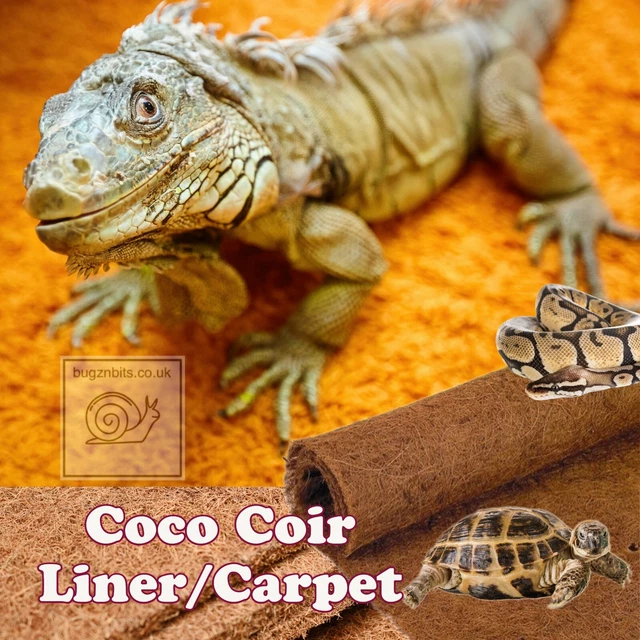 COCO COIR MATTING for Reptiles, Snakes Iguana Lizards Bearded Dragon ...