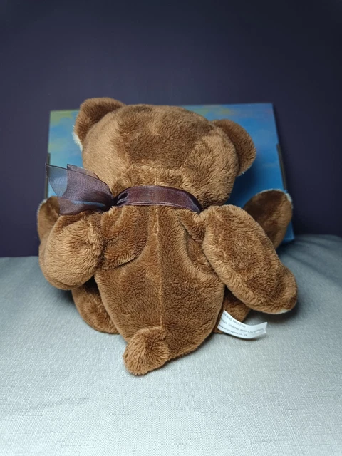 TEDDY BEAR MICROWAVABLE Heat Comforter Special Plush Filled Wheat And ...