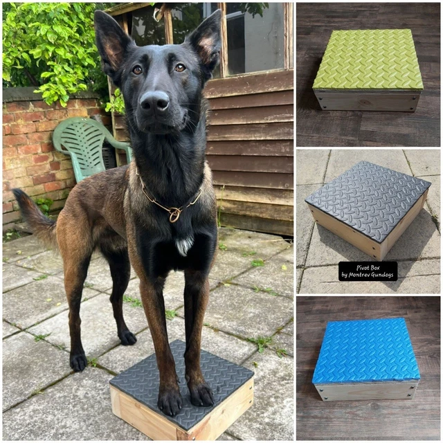 DOG AGILITY/DOG SPORTS Training Equipment/Pivot Box/Platform/Obedience ...