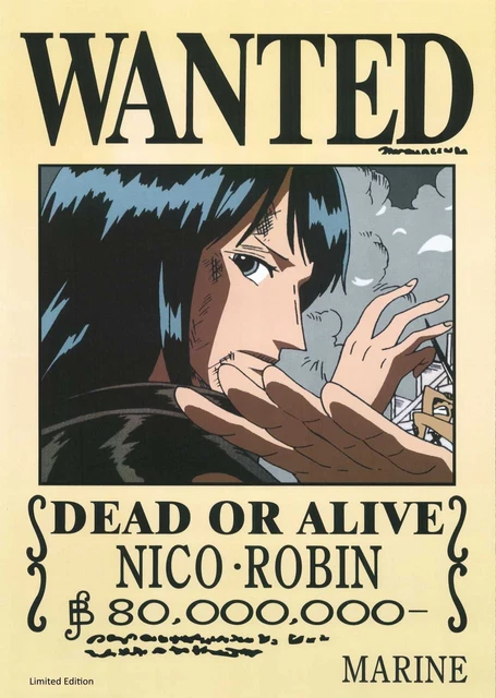 Robin Wanted Poster