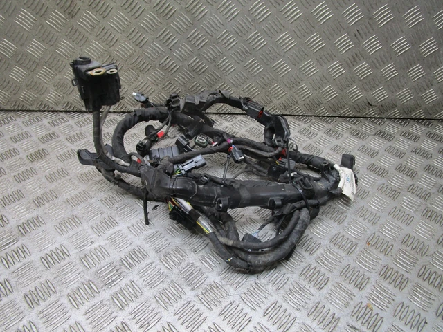 2018 FORD FIESTA 1,1L Duratec Kabelbaum H1Bt-12C508 Oem EUR 88,85 ...