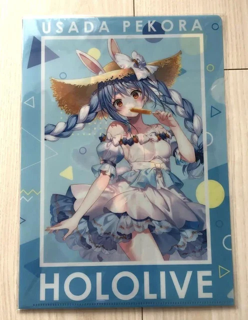HOLOLIVE GIGO CLEAR File Folder Usada Pekora EUR 33,50 - PicClick FR